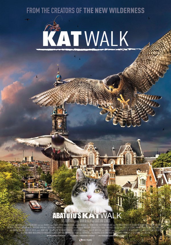 Katwalk | film | bioscoopagenda