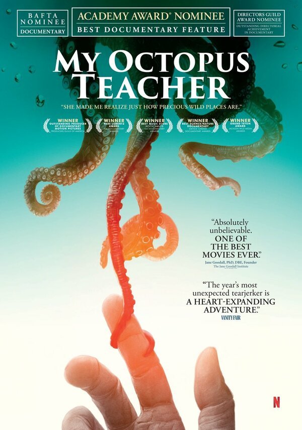 My Octopus Teacher | film | bioscoopagenda